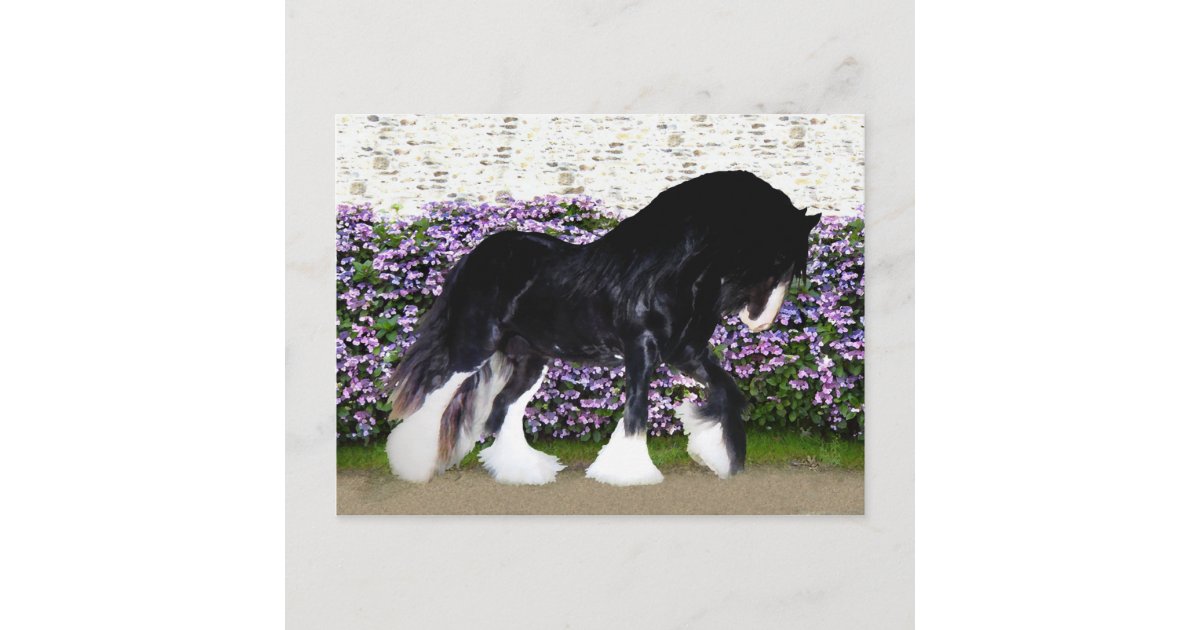 "Donegal" Post Card | Zazzle