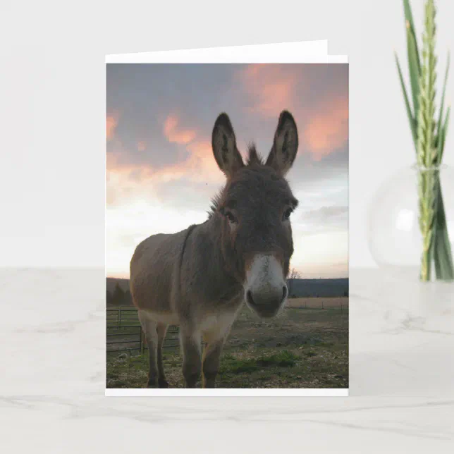 Donkey Art Card | Zazzle