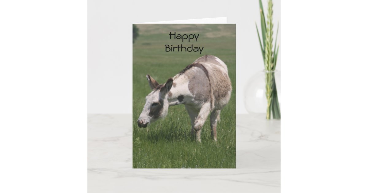 Donkey Birthday Card | Zazzle