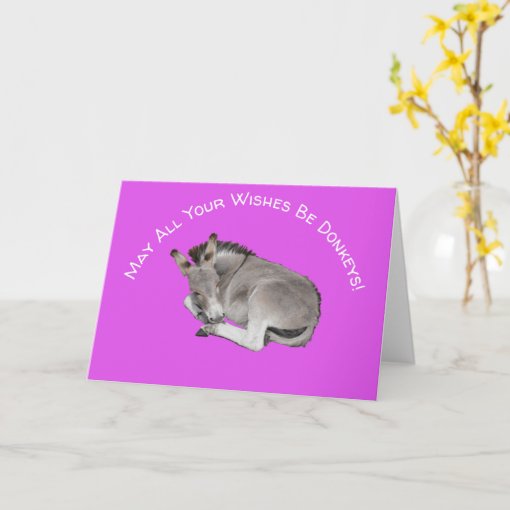 Donkey Birthday Wish Card | Zazzle