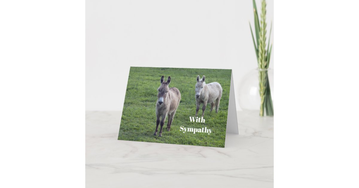 Donkey Brown Tan Animal Photo Sympathy Card | Zazzle