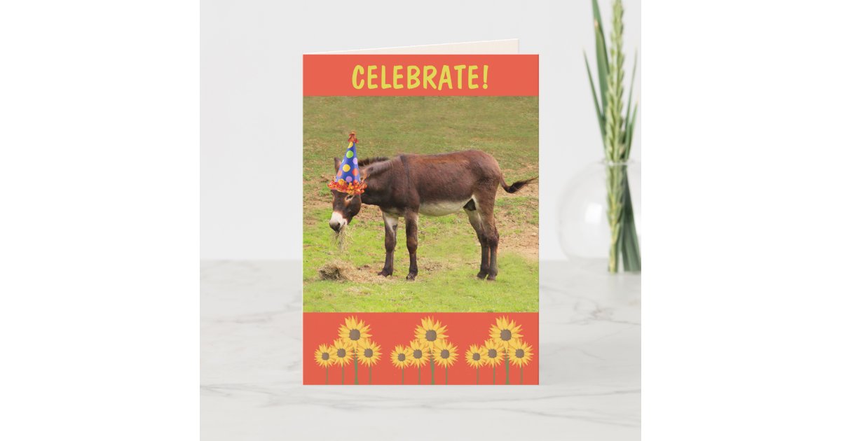Donkey Celebrate Happy Birthday Card | Zazzle.com