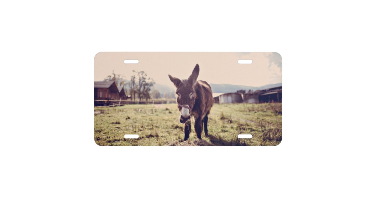Donkey feed license plate | Zazzle