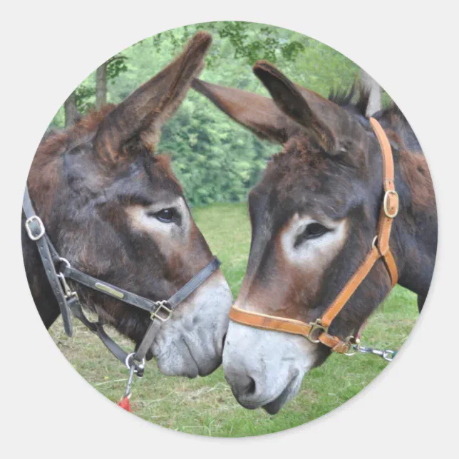 Donkey friends classic round sticker | Zazzle