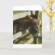 Donkey Greetings Card | Zazzle