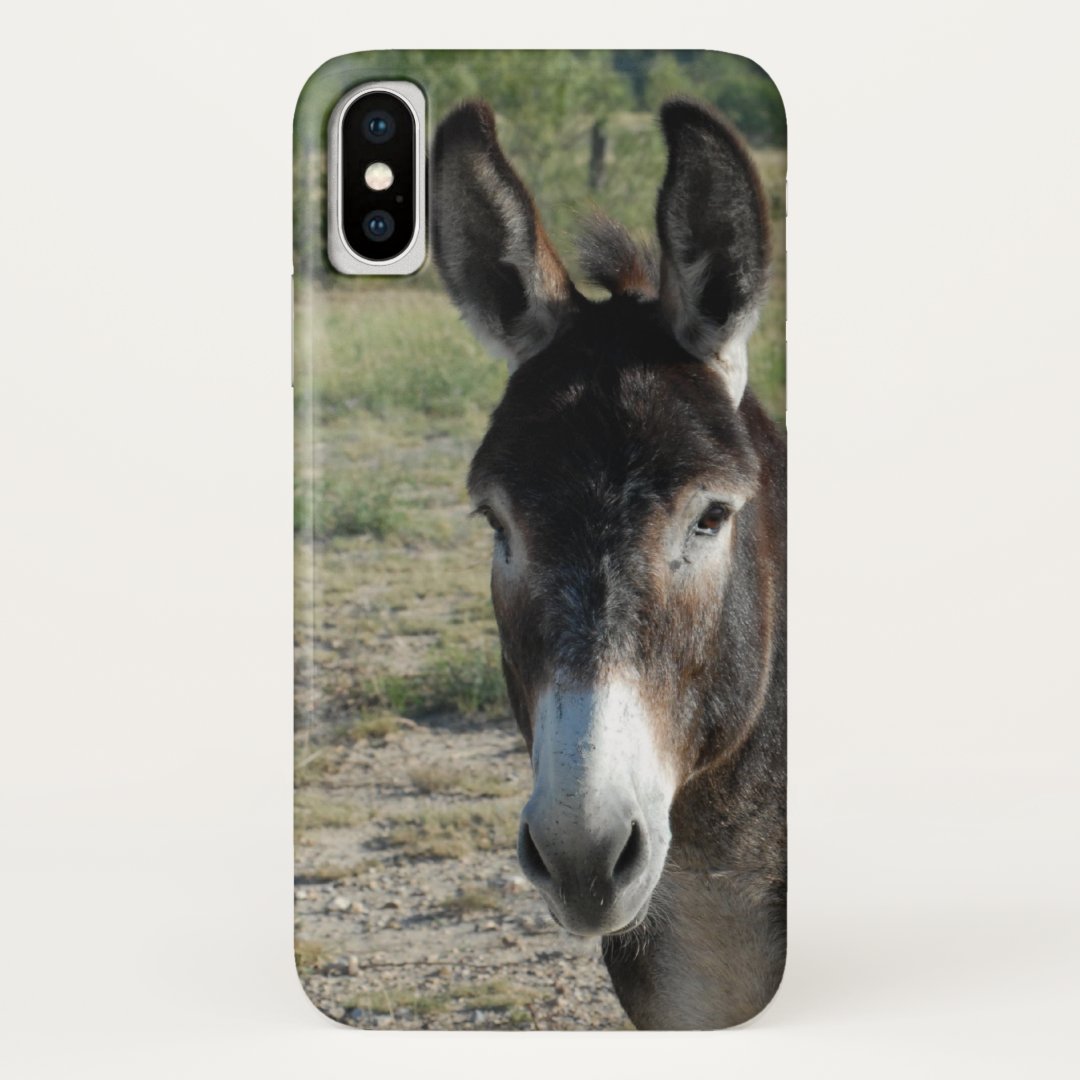Donkey iPhone case | Zazzle