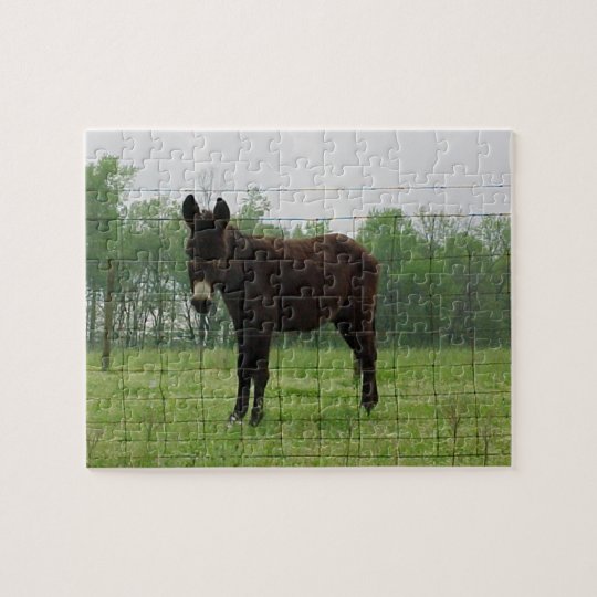 Donkey Jigsaw Puzzle | Zazzle.com