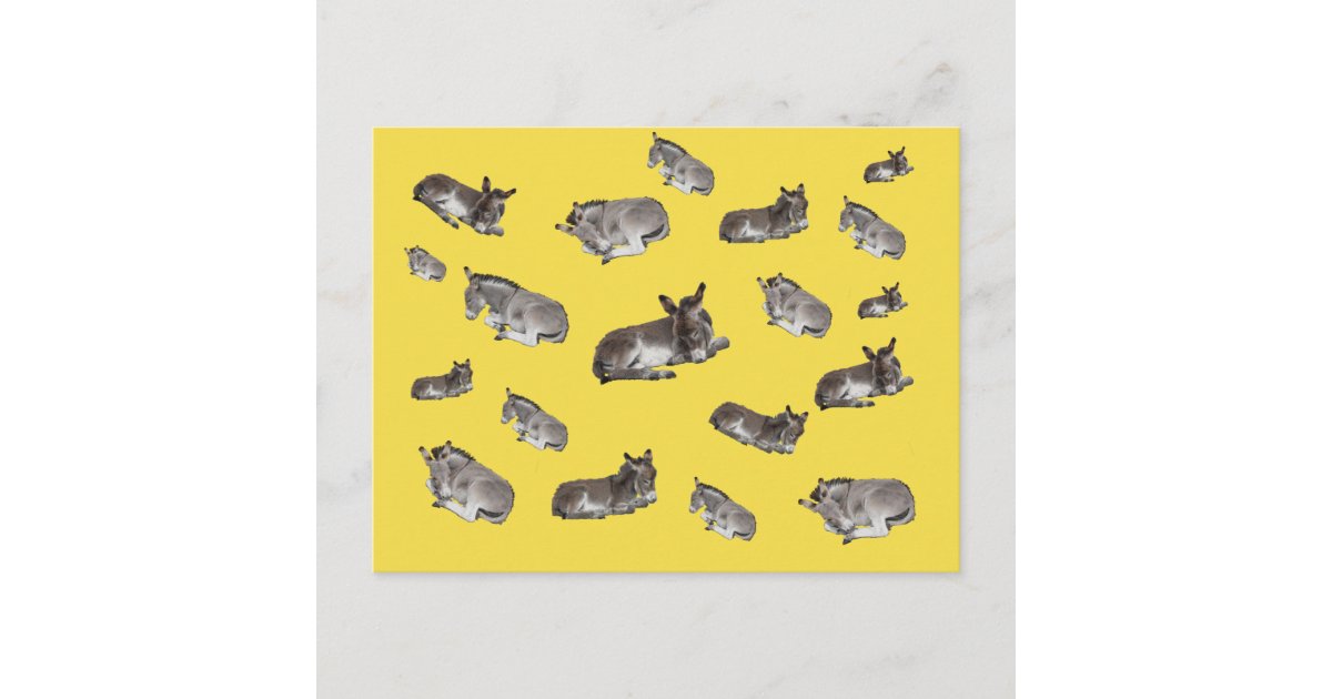 Donkey Mania Postcard | Zazzle
