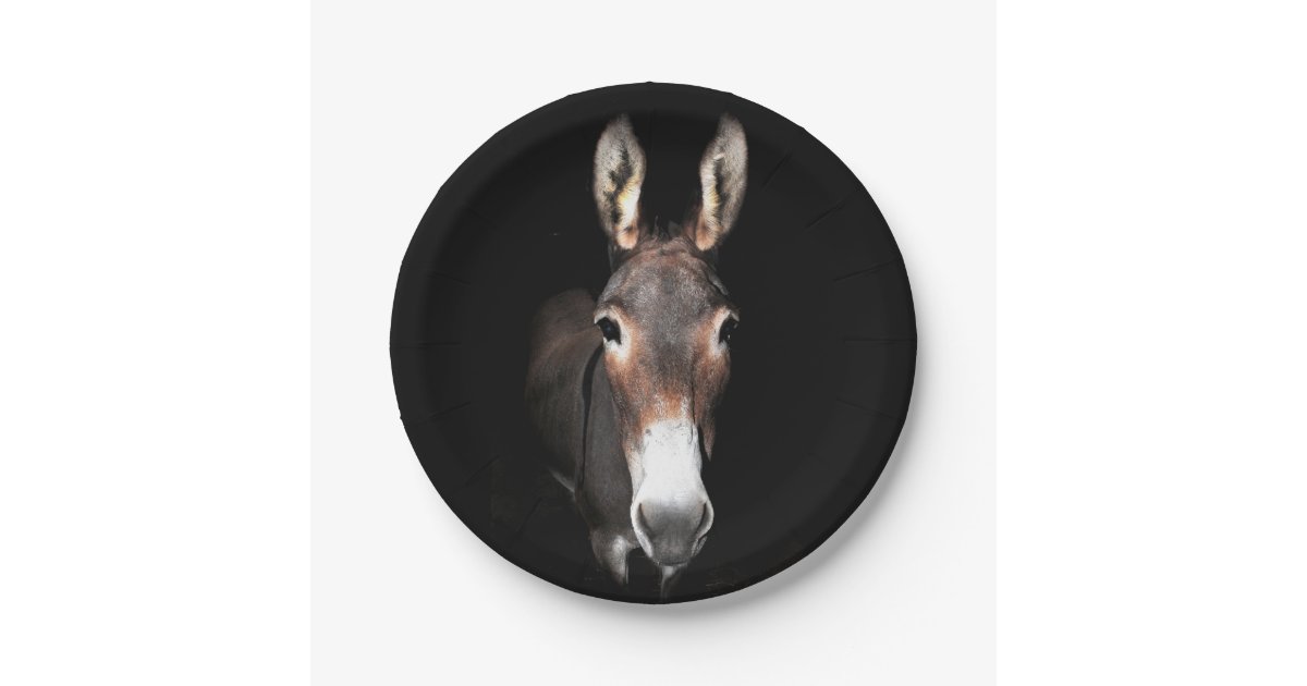 Donkey Paper Plates | Zazzle