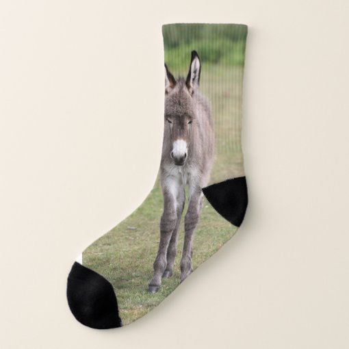 Donkey Socks | Zazzle