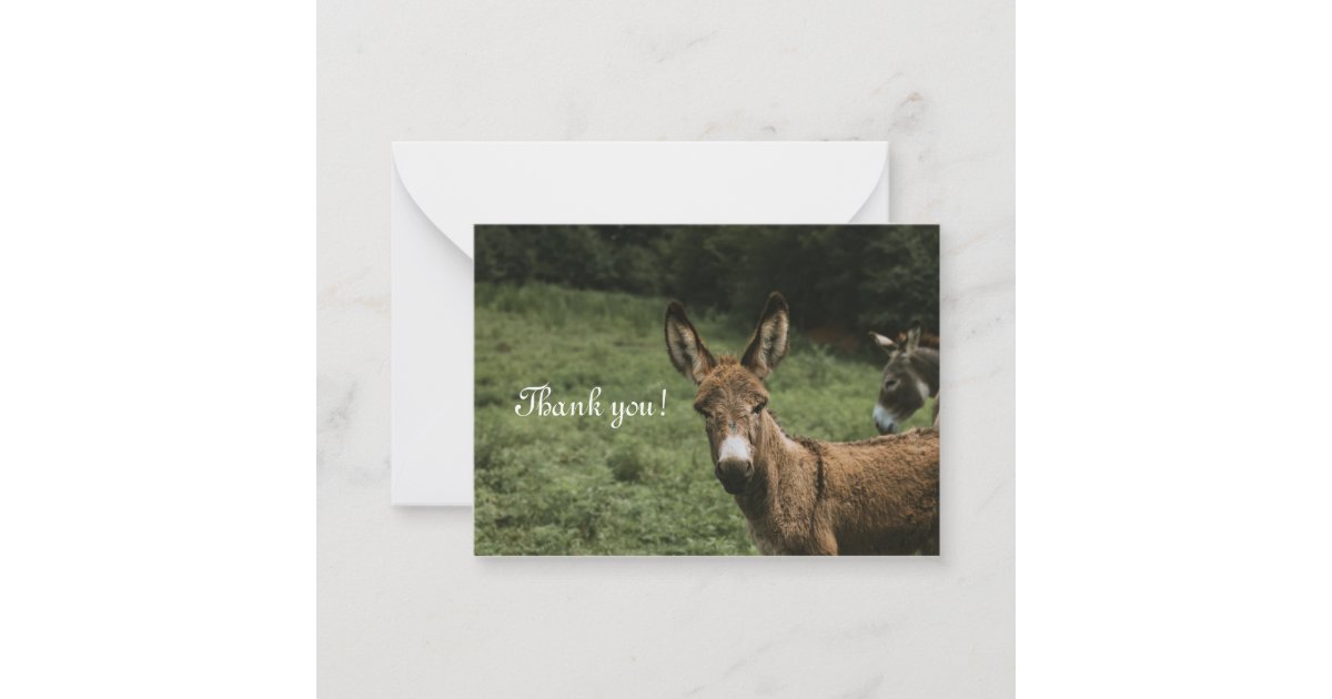Donkey Thank You Card | Zazzle