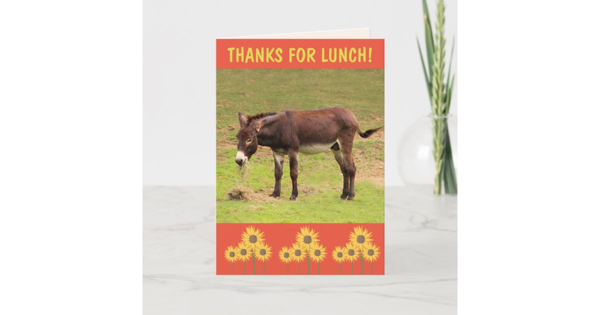 Donkey Thanks For Lunch Thank You Card | Zazzle
