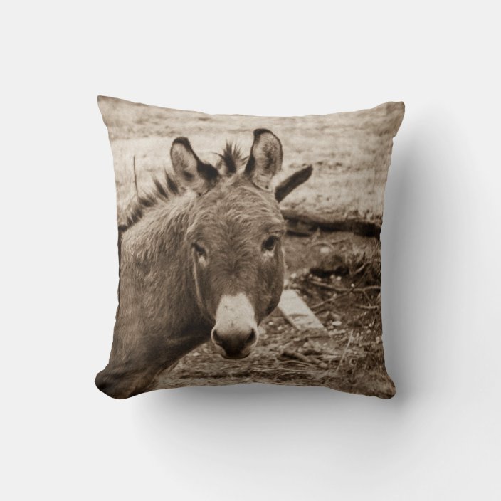 Donkey Throw Pillow | Zazzle.com