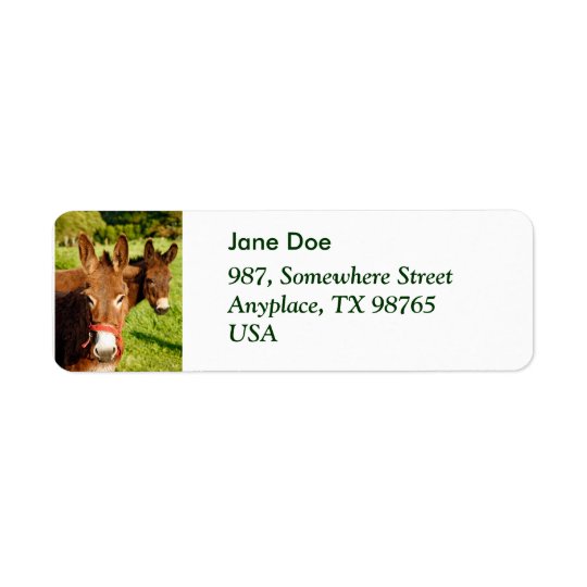 Donkeys Label | Zazzle.com