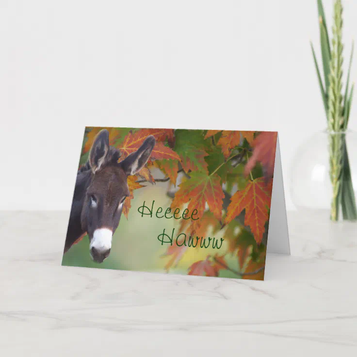 Donnie Donkey hee-haw birthday- customize Card | Zazzle