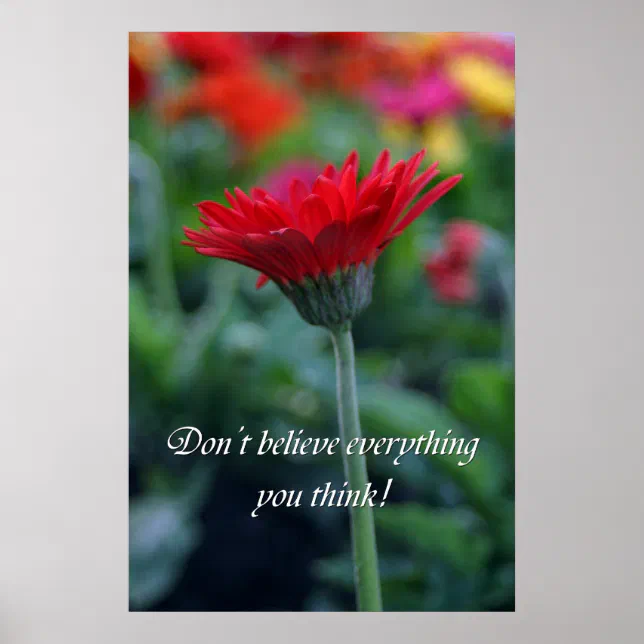 Don't believe everything you think! poster | Zazzle