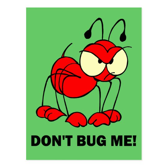don't bug me postcard | Zazzle.com