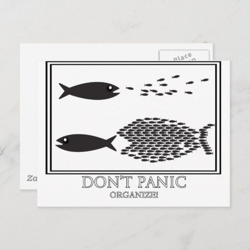 Dont' Panic be Organize! Postcard | Zazzle