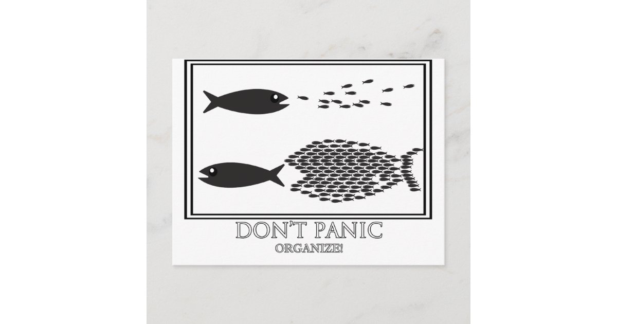 Dont' Panic be Organize! Postcard | Zazzle
