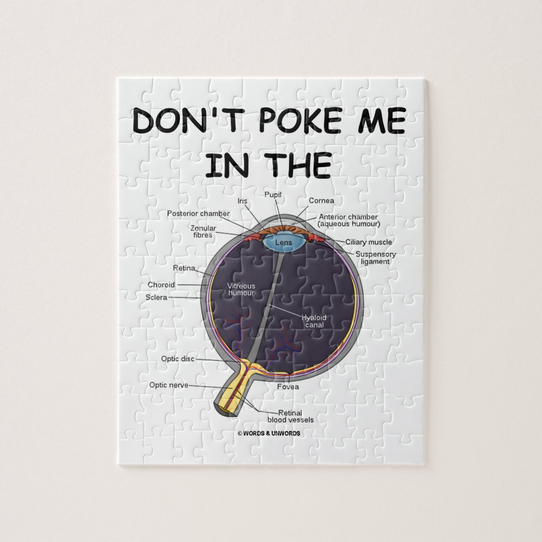 Don't Poke Me In The (Eye Anatomy) Humor Jigsaw Puzzle | Zazzle