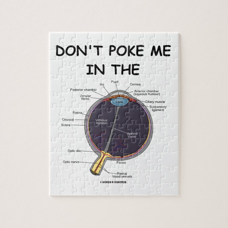 Don't Poke Me In The (Eye Anatomy) Humor Jigsaw Puzzle | Zazzle