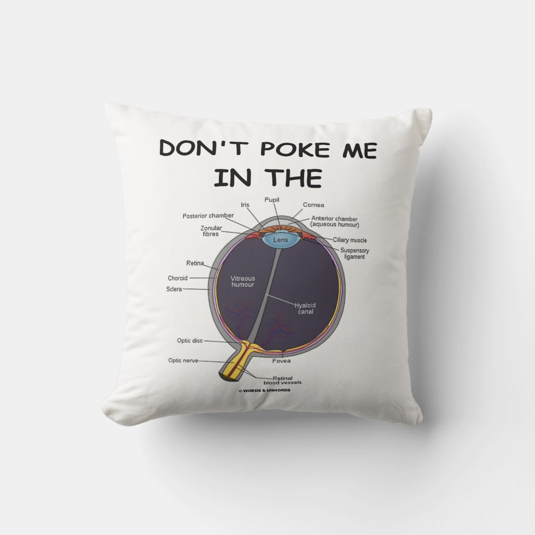 Don't Poke Me In The (Eye Anatomy) Humor Throw Pillow | Zazzle