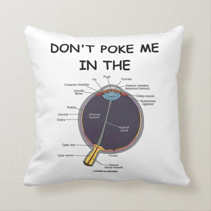 Don't Poke Me In The (Eye Anatomy) Humor Throw Pillow | Zazzle.com