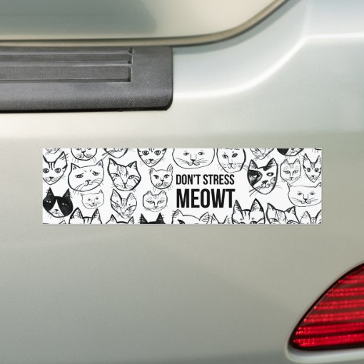DONT STRESS MEOWT Funny Cats Bumper Sticker | Zazzle