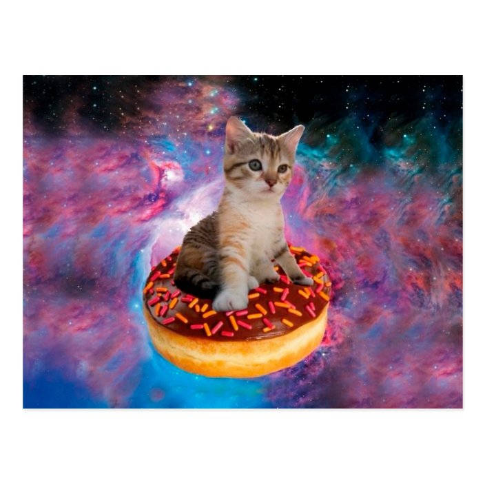 Donut Cat - Donut lover Postcard | Zazzle.com