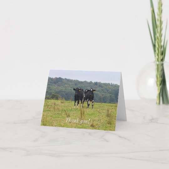 Double Cattle Troube Thank You Card | Zazzle.com
