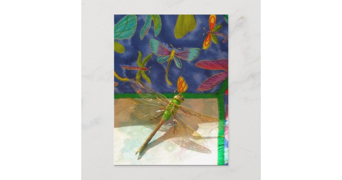Double dragonfly postcard | Zazzle