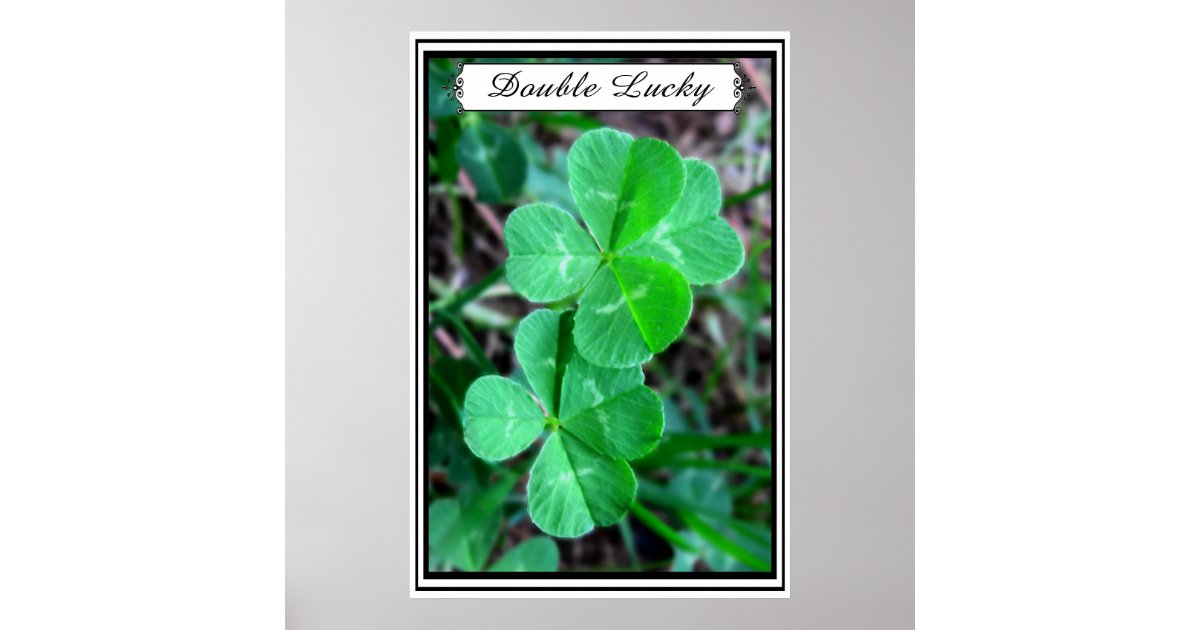 Double Lucky - Poster | Zazzle