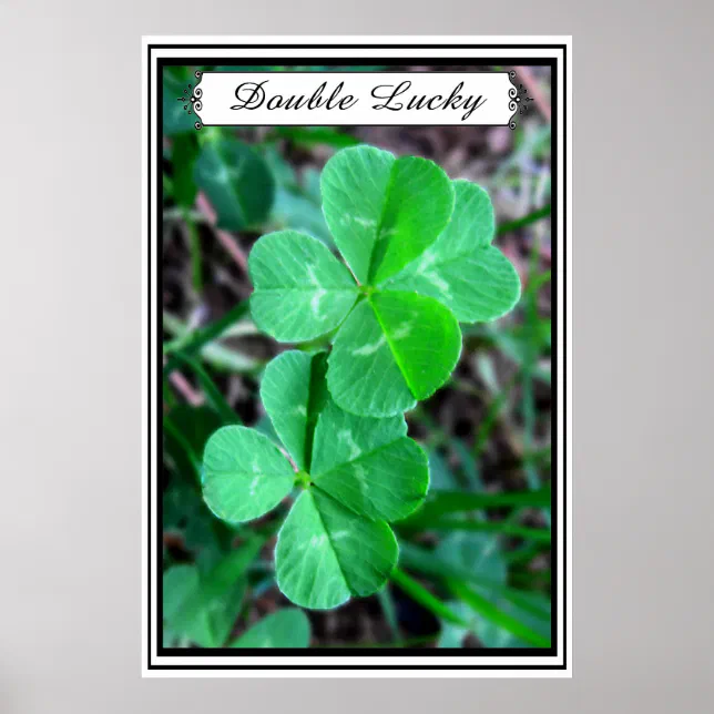 Double Lucky - Poster | Zazzle