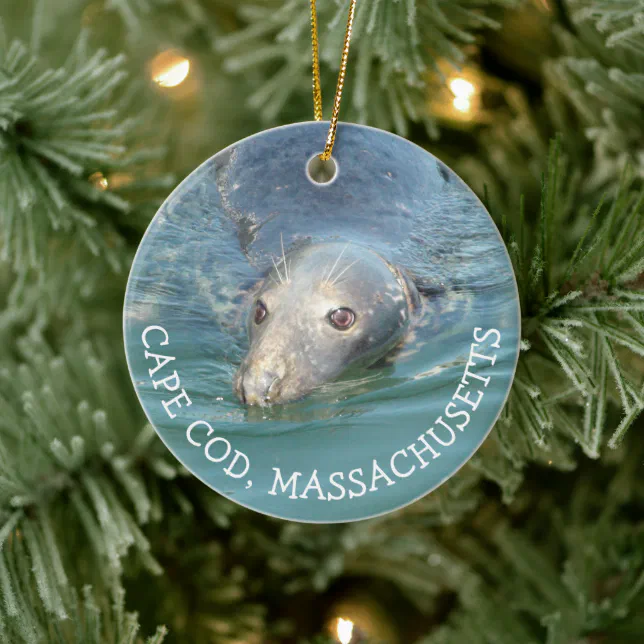 Double Sided Cape Cod Seals Photography Christmas Ceramic Ornament | Zazzle