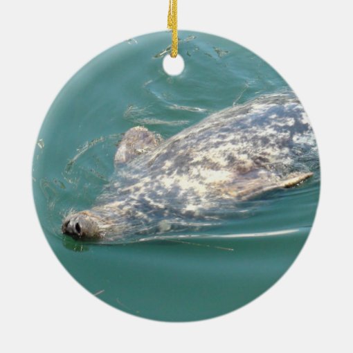 Double Sided Cape Cod Seals Photography Christmas Ceramic Ornament | Zazzle