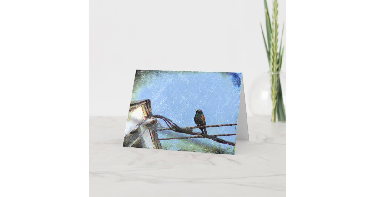 Double Vision, Birthday Card | Zazzle