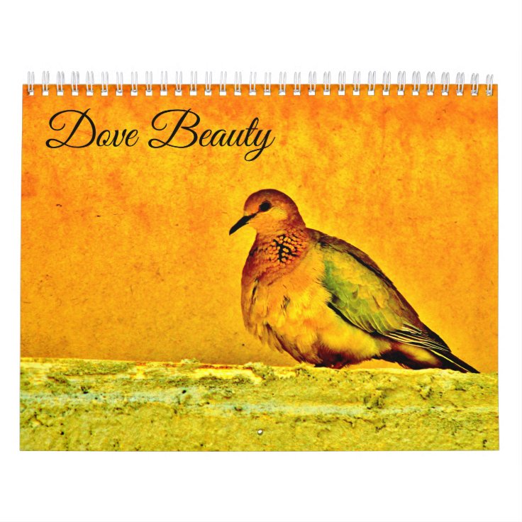 Dove Beauty Calendar | Zazzle