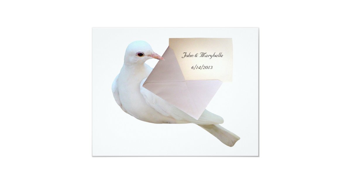Dove Letter Invitations | Zazzle.com