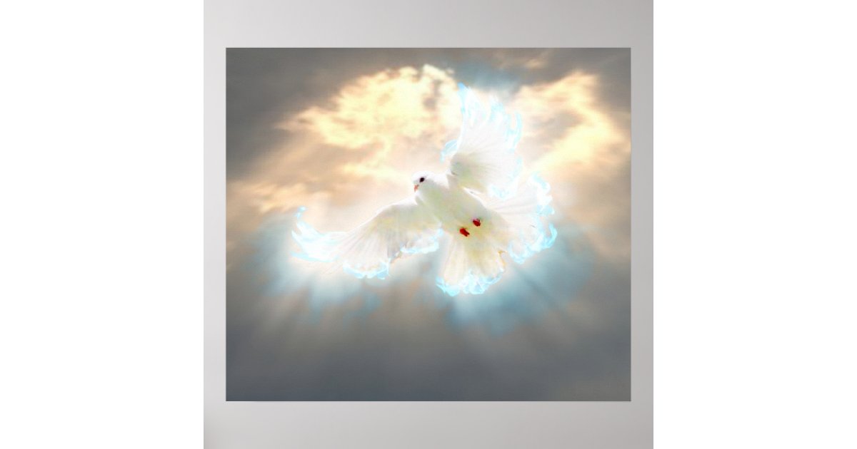 Dove Poster | Zazzle