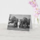 Dovima Card | Zazzle