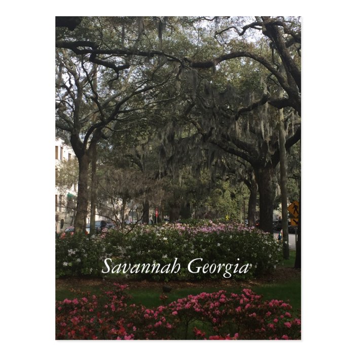 Downtown Savannah Georgia Postcard | Zazzle.com