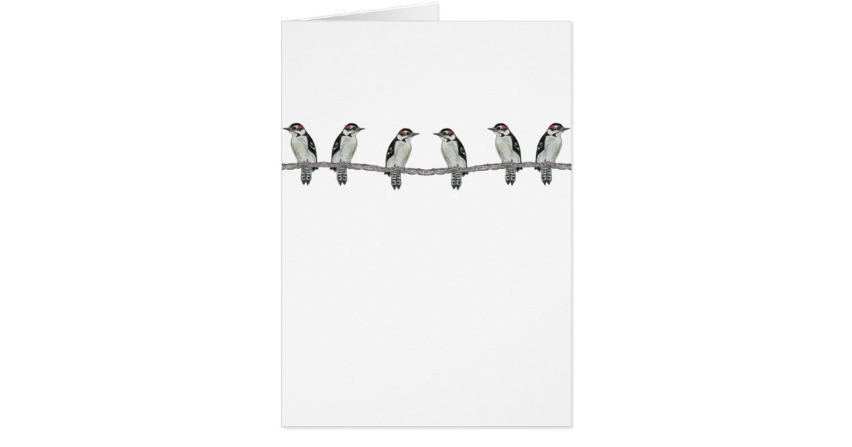 Downy Woodpeckers Party Invitation Card | Zazzle
