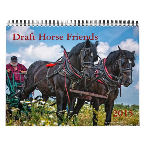 Draft Horse Friends calendar | Zazzle