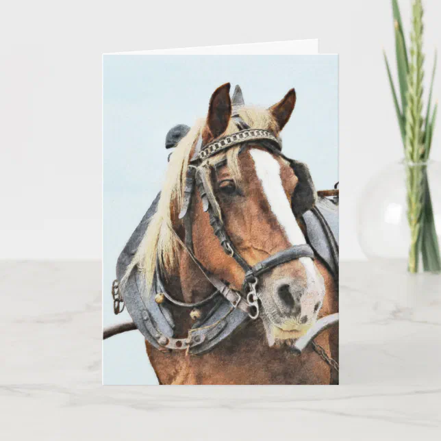 Draft horse in harness birthday card | Zazzle