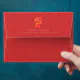 Dragon 2024 Red Chinese New Year Holiday Envelope | Zazzle