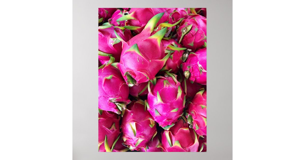 Dragon Fruit Poster | Zazzle