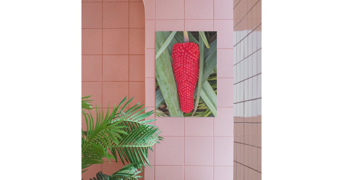 Dragon Lily Red Seed Head Metal Print | Zazzle