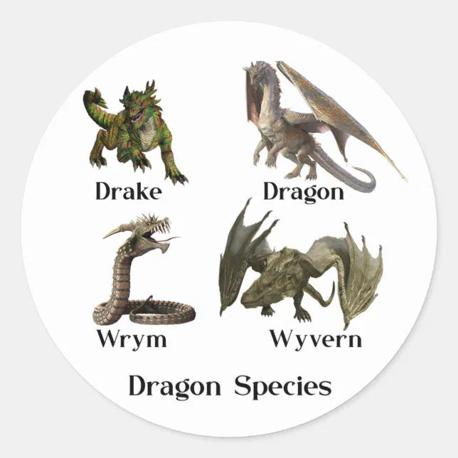 Dragon Types Species Wrym Wyvern Drake Classic Round Sticker | Zazzle