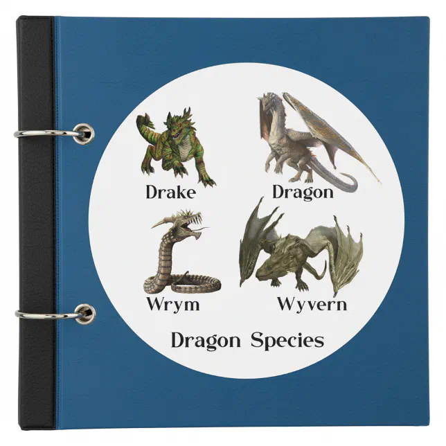 dragon categories