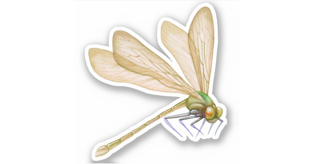 Dragonflies Sticker | Zazzle